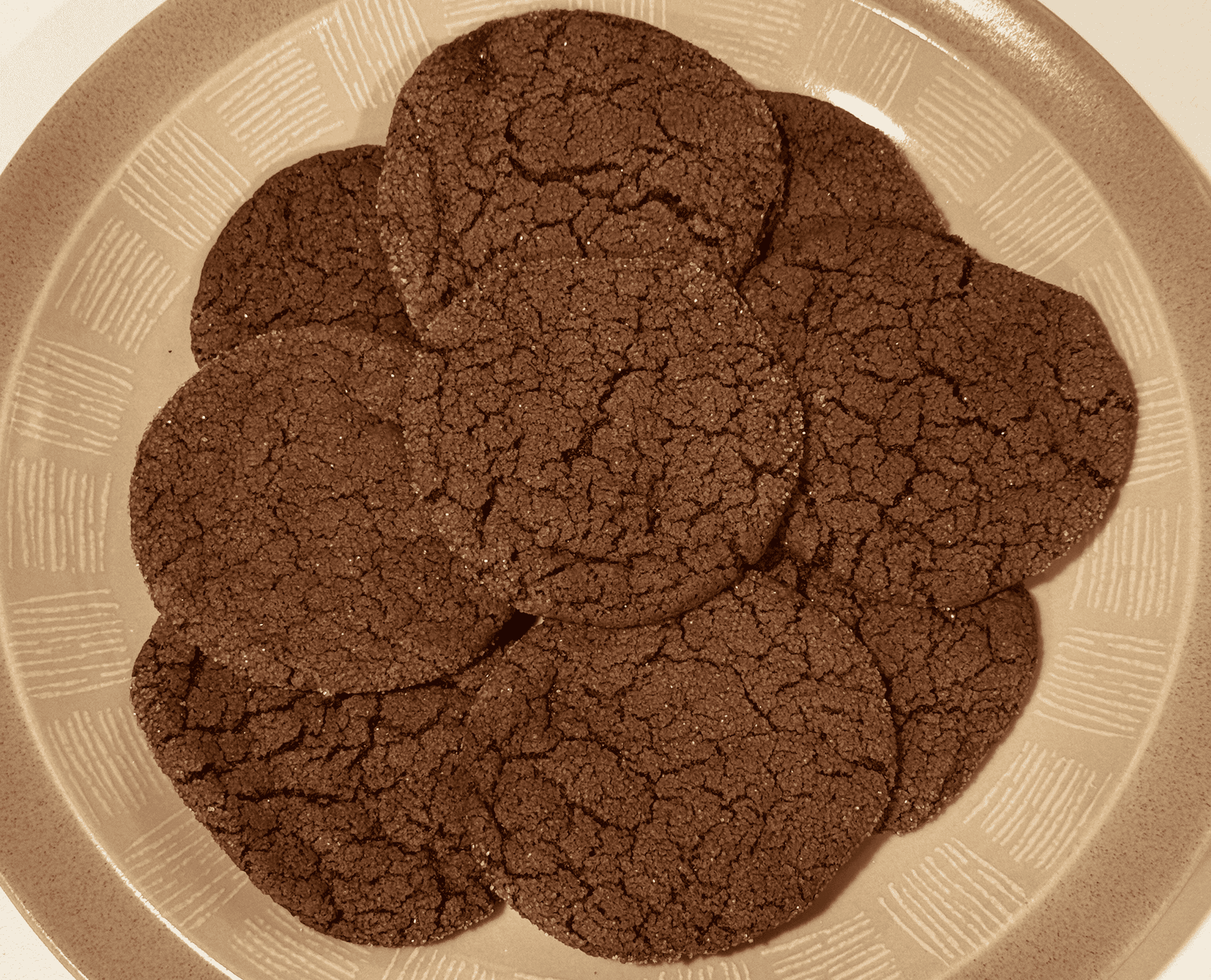Vegan Mexican Hot Chocolate Snickerdoodles (Cinnamon Cocoa Cookies with ...